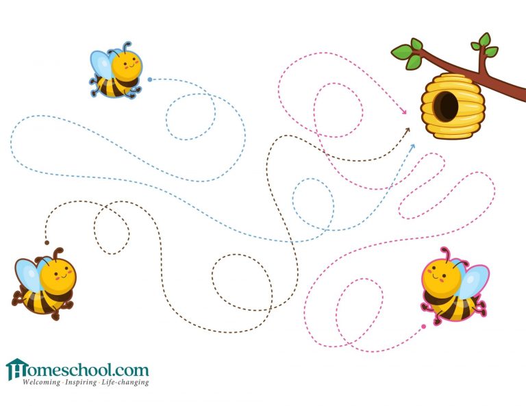 Preschool: Fine Motor Skills Activities | Homeschool .com