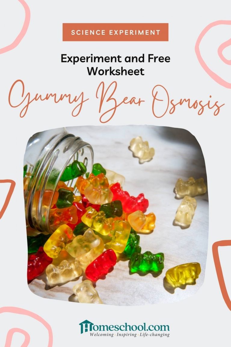 DIY Gummy Bear Experiment on Osmosis | Homeschool .com