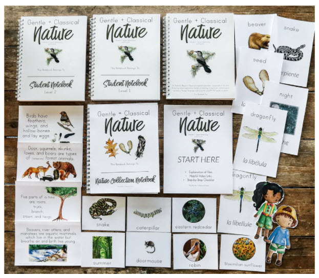 Gentle+Classical Press Curriculum Review | Homeschool .com