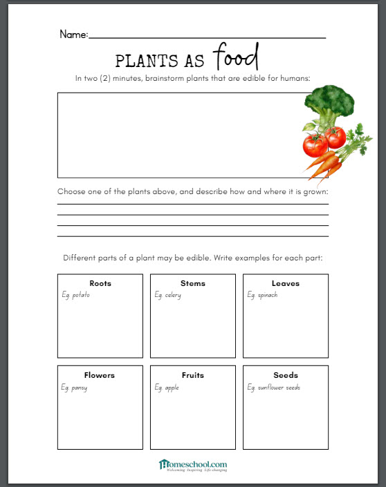 Homeschool Plant Unit Study | Homeschool .com